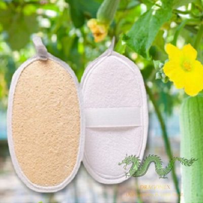 Loofah pad