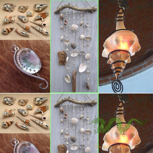 SEA SHELLS PRODUCTS - Vietnam Dragon