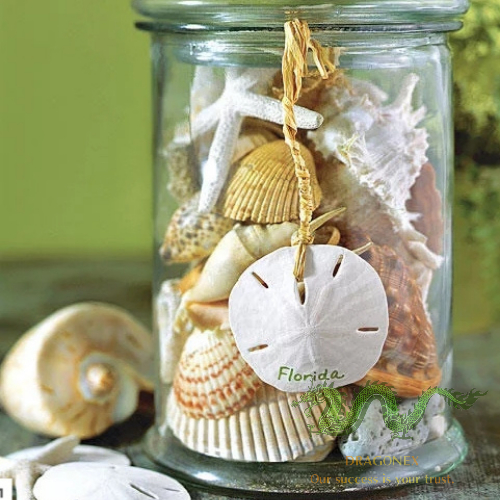 SEA SHELLS PRODUCTS - Vietnam Dragon